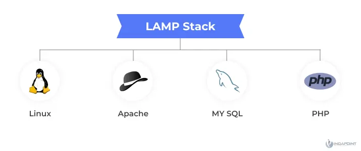 Overview Tech Stack & Popular Stacks for Startups